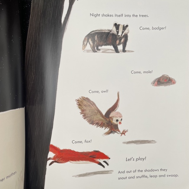 The Night Box – The Open Book